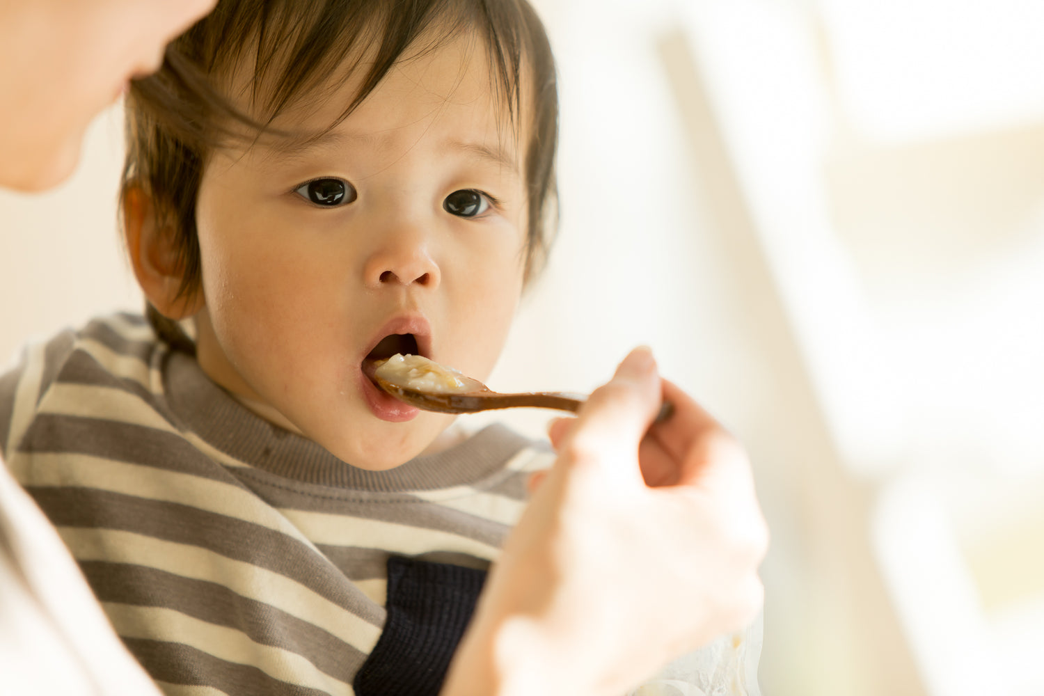 Kinchan - Japanese specialty store for Kids & Baby products – Kinchan ...